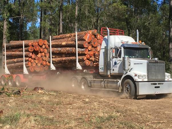 Project Haulage - Queensland Road Transport - What We Do